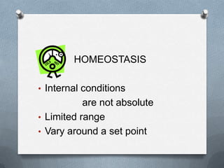 The Skin's Role in the Homeostasis of Body Temperature | PPTX