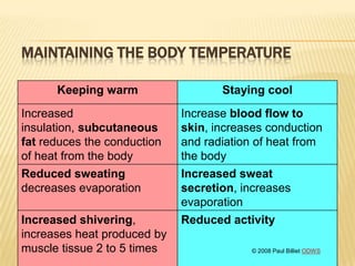 Thermoregulation control of body temperature | PPTX