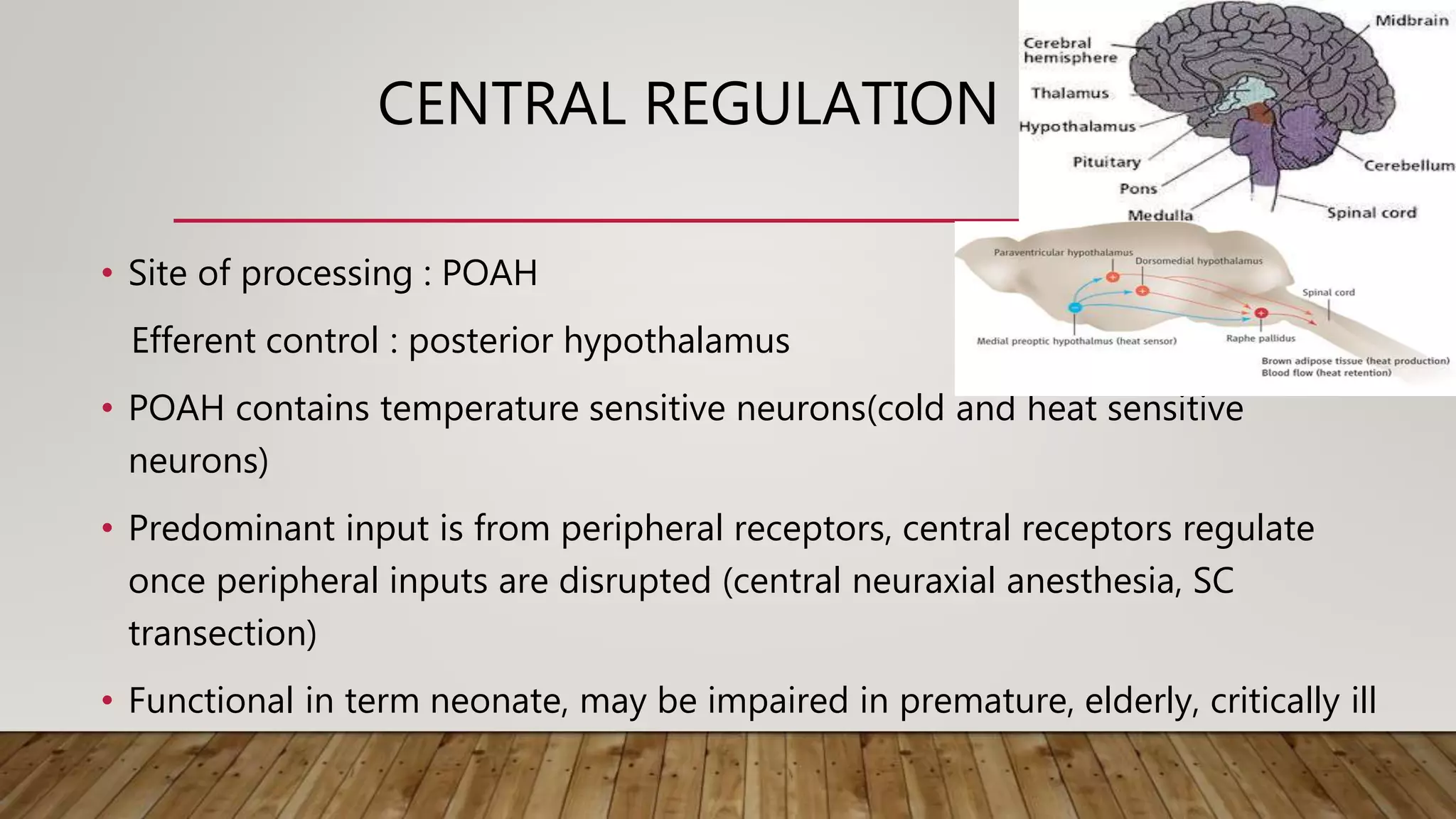 Thermoregulation : Physiology & Perioperative disturbances | PPTX