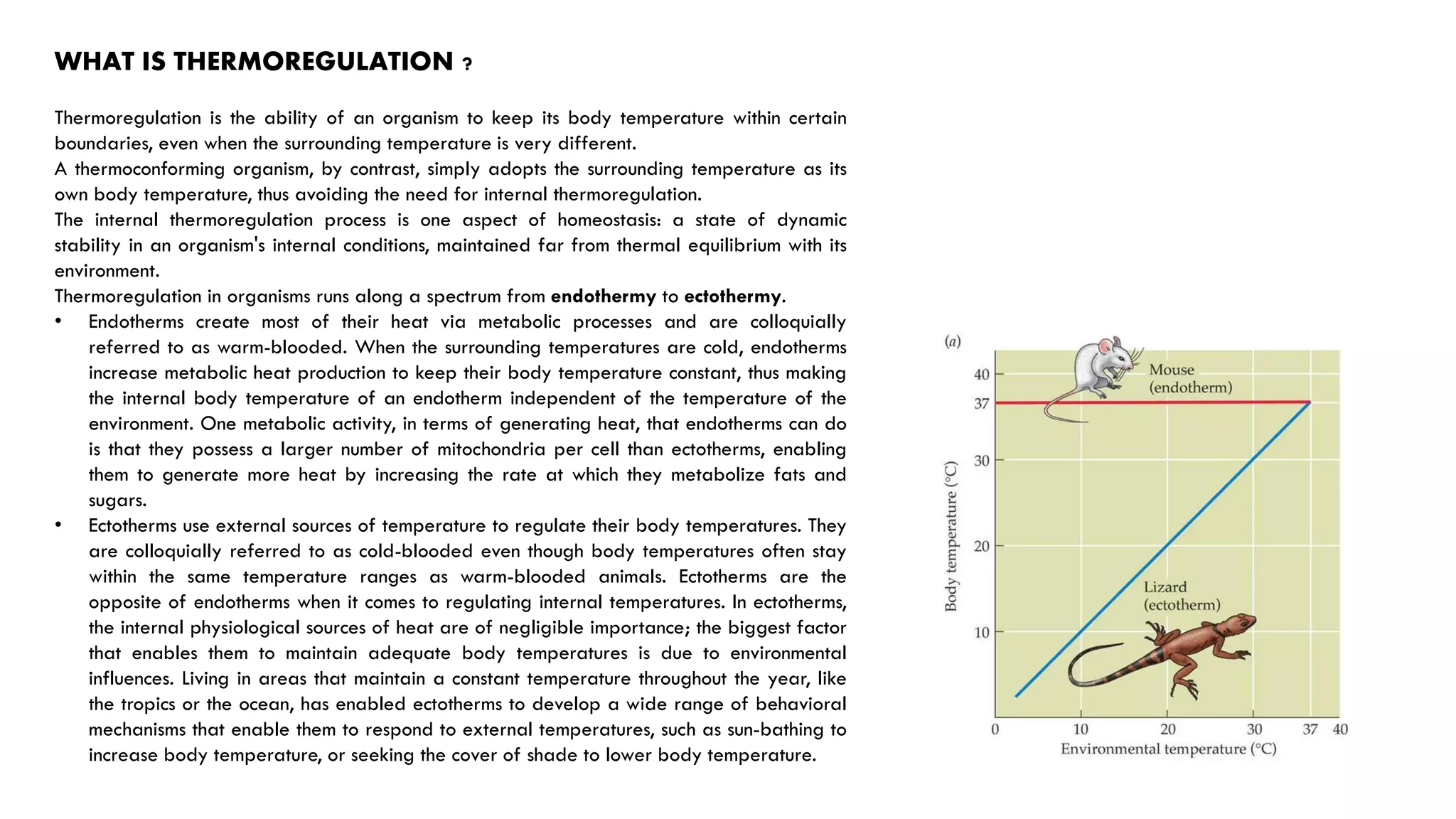 Thermoregulation in hot and humid climate Part II | PDF