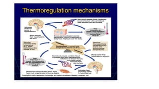 Thermoregulation in newborn | PPTX