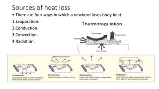 Thermoregulation in newborn | PPTX
