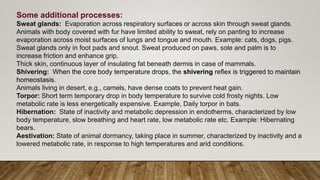 THERMOREGULATION IN VERTEBRATES.pptx