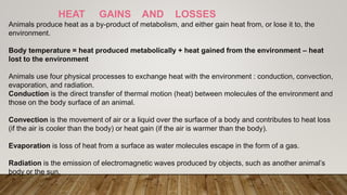THERMOREGULATION IN VERTEBRATES.pptx