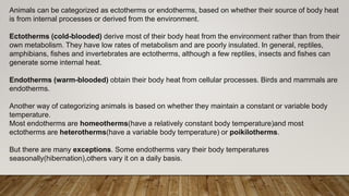 THERMOREGULATION IN VERTEBRATES.pptx