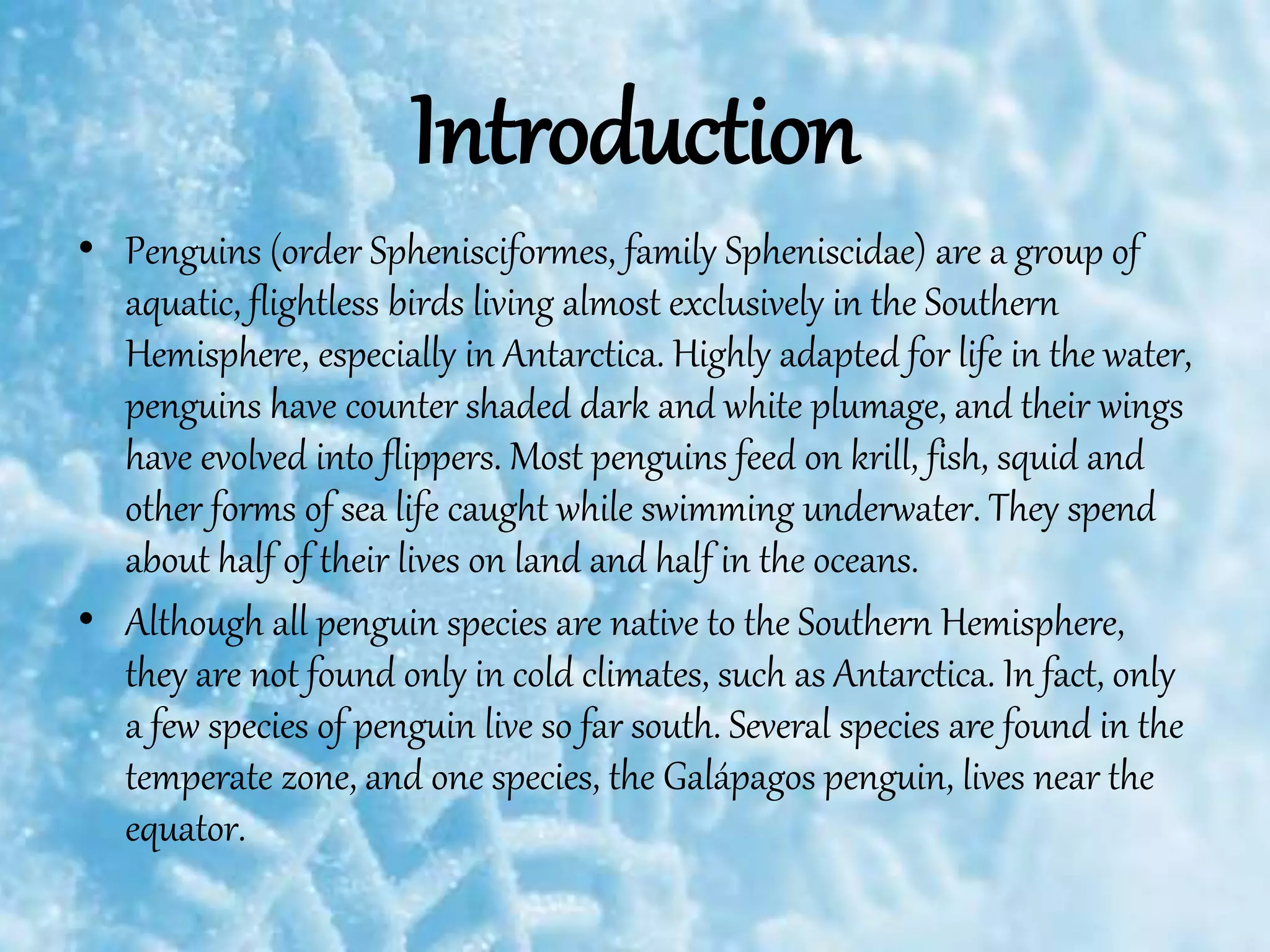 Thermoregulatory adaptions in penguins | PPTX
