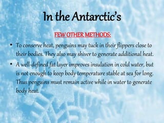 Thermoregulatory adaptions in penguins | PPTX