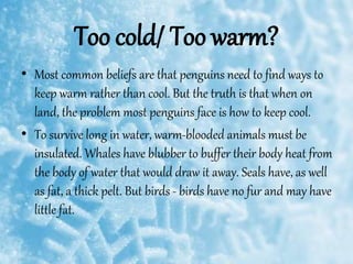 Thermoregulatory adaptions in penguins | PPTX