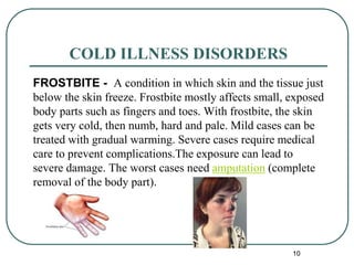 Thermoregulatory system | PPT | Free Download
