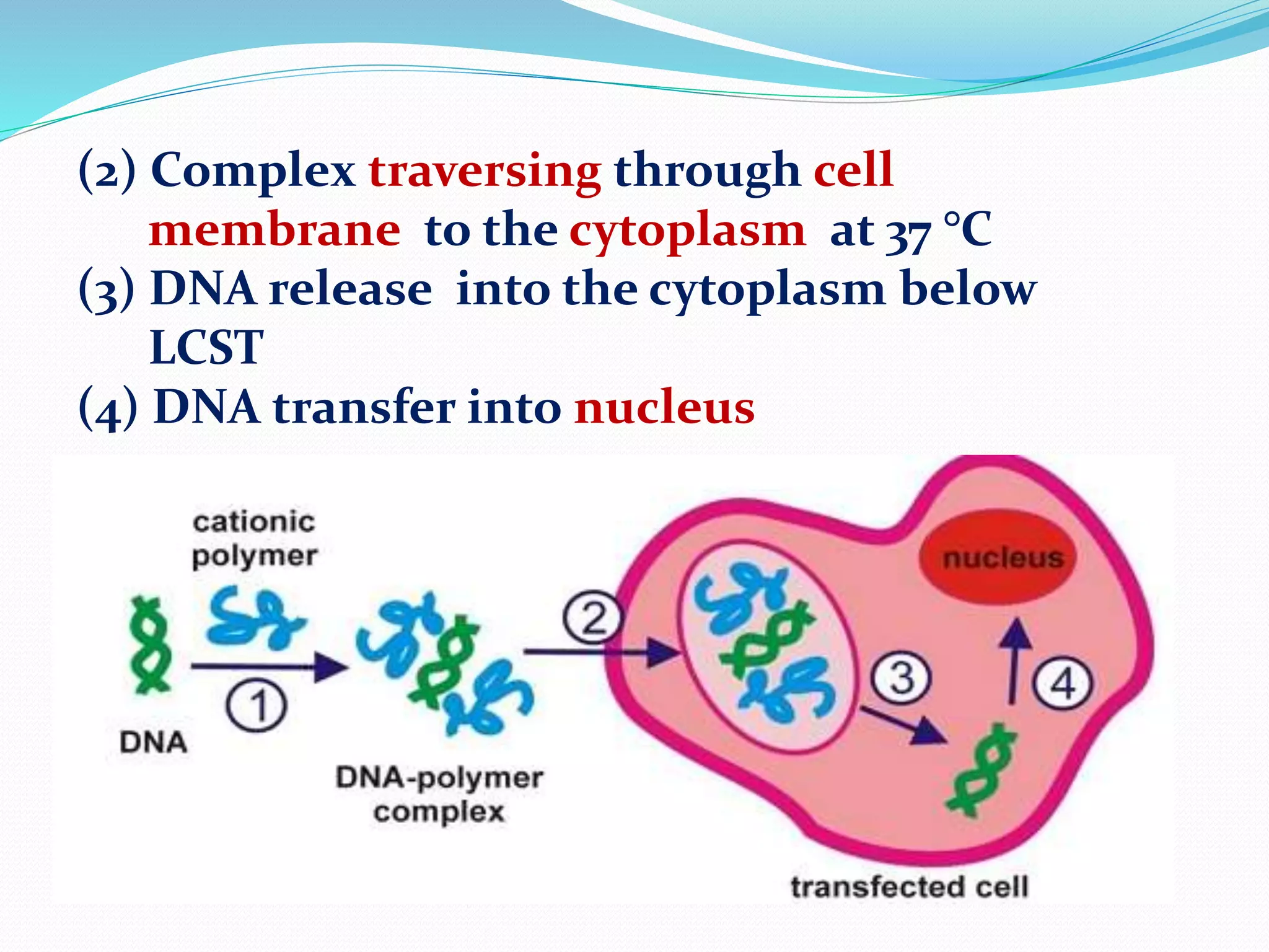 Thermoresponsive polymers for biomedical applications | PPTX