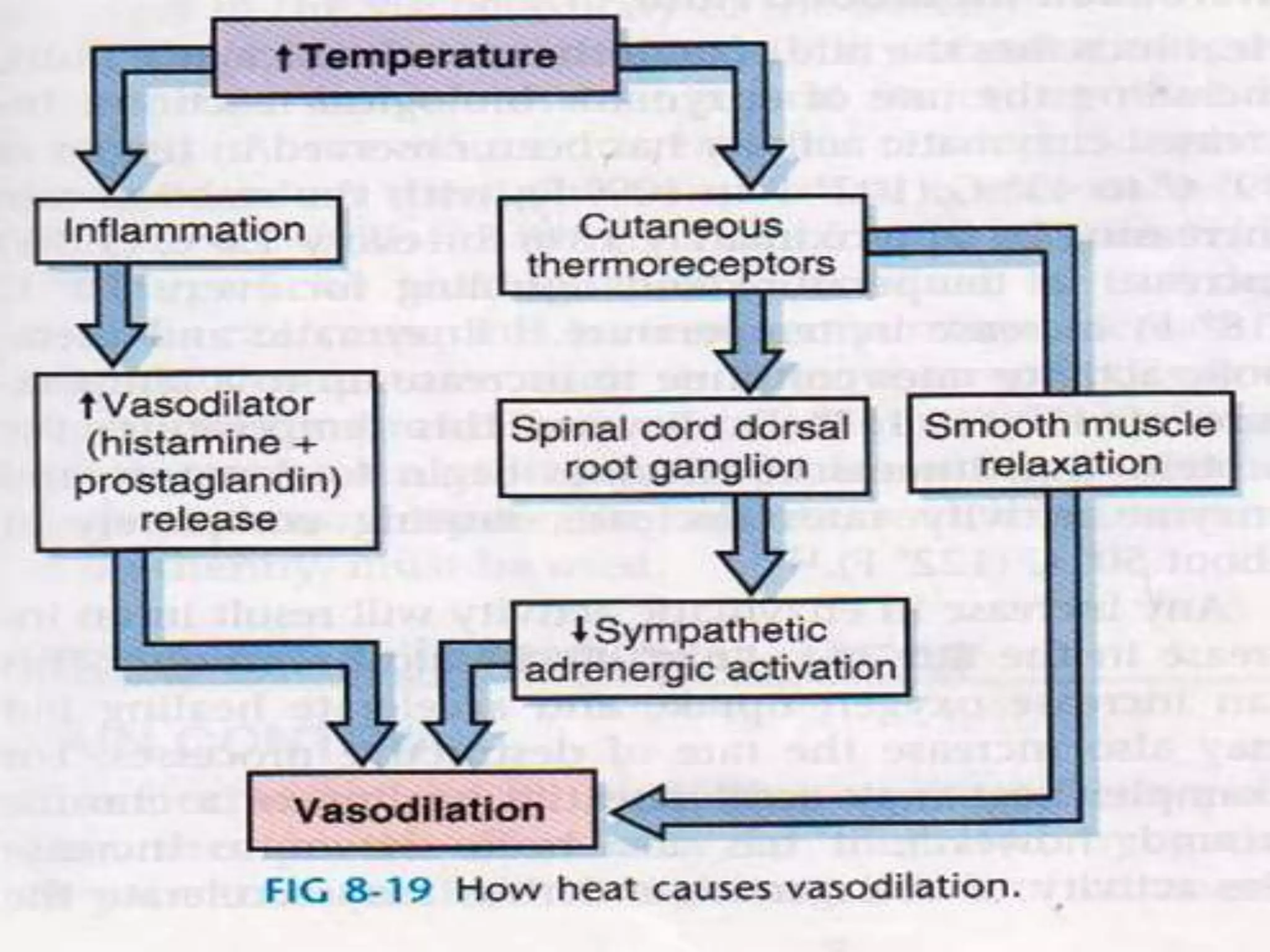 Thermotherapy | PPTX