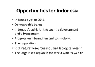 The Roadmap of Indonesian Youth to The Golden Indonesia 2045 | PDF