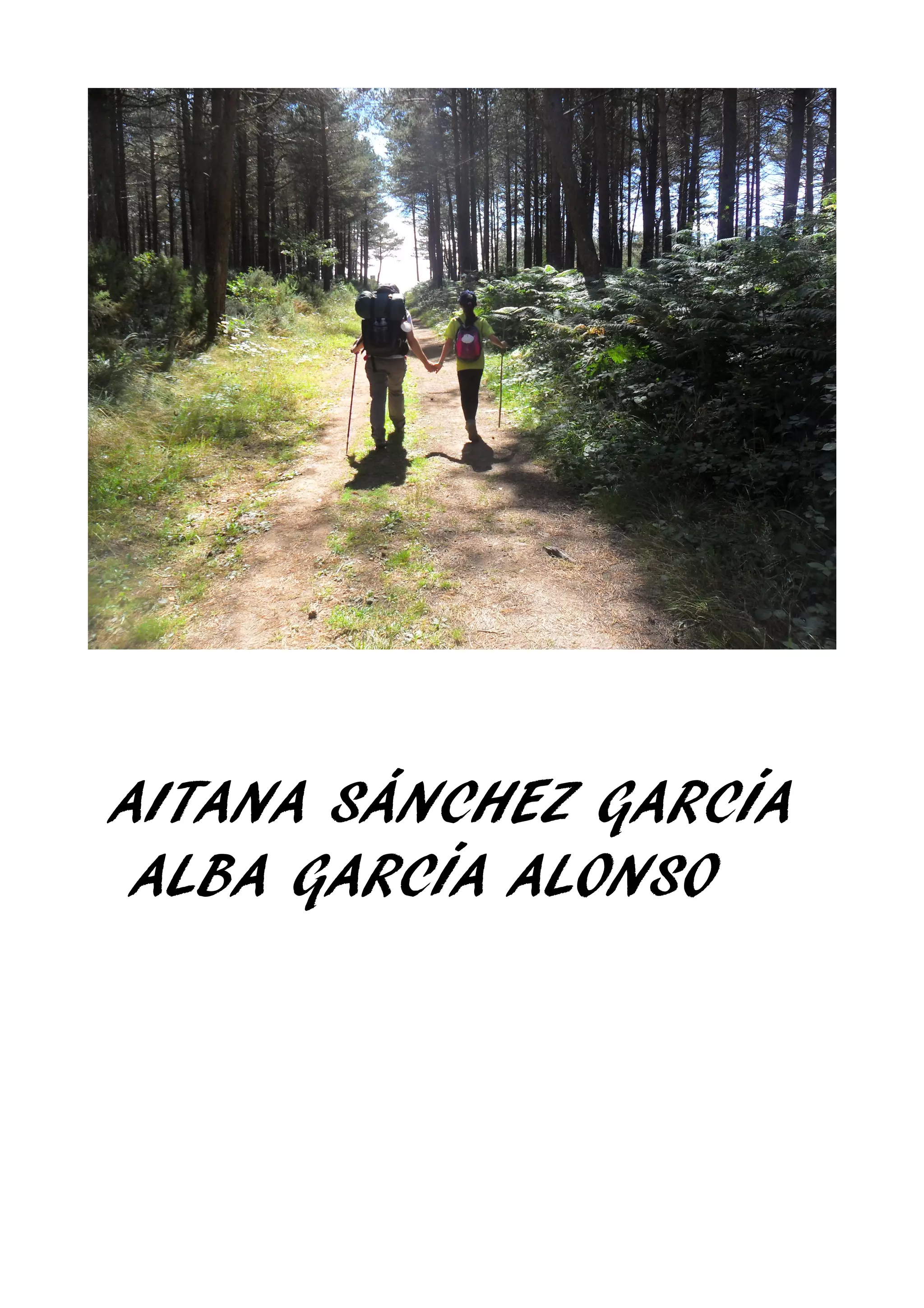 The road to santiago | PDF