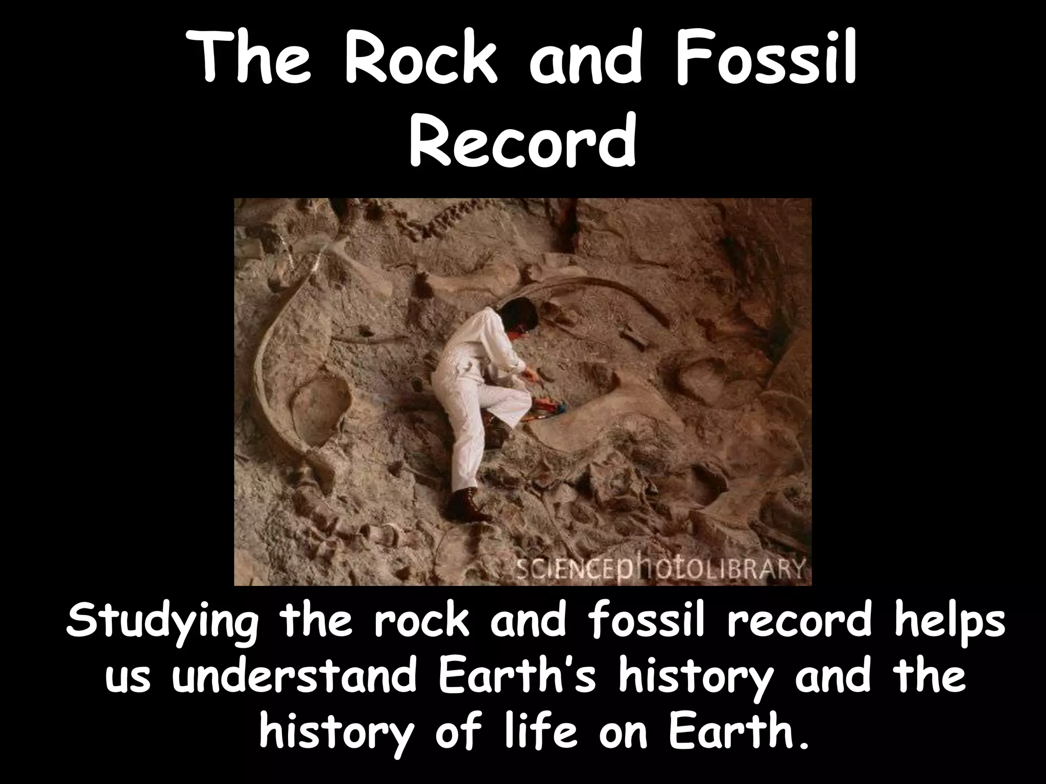 The rock and fossil record | PPTX