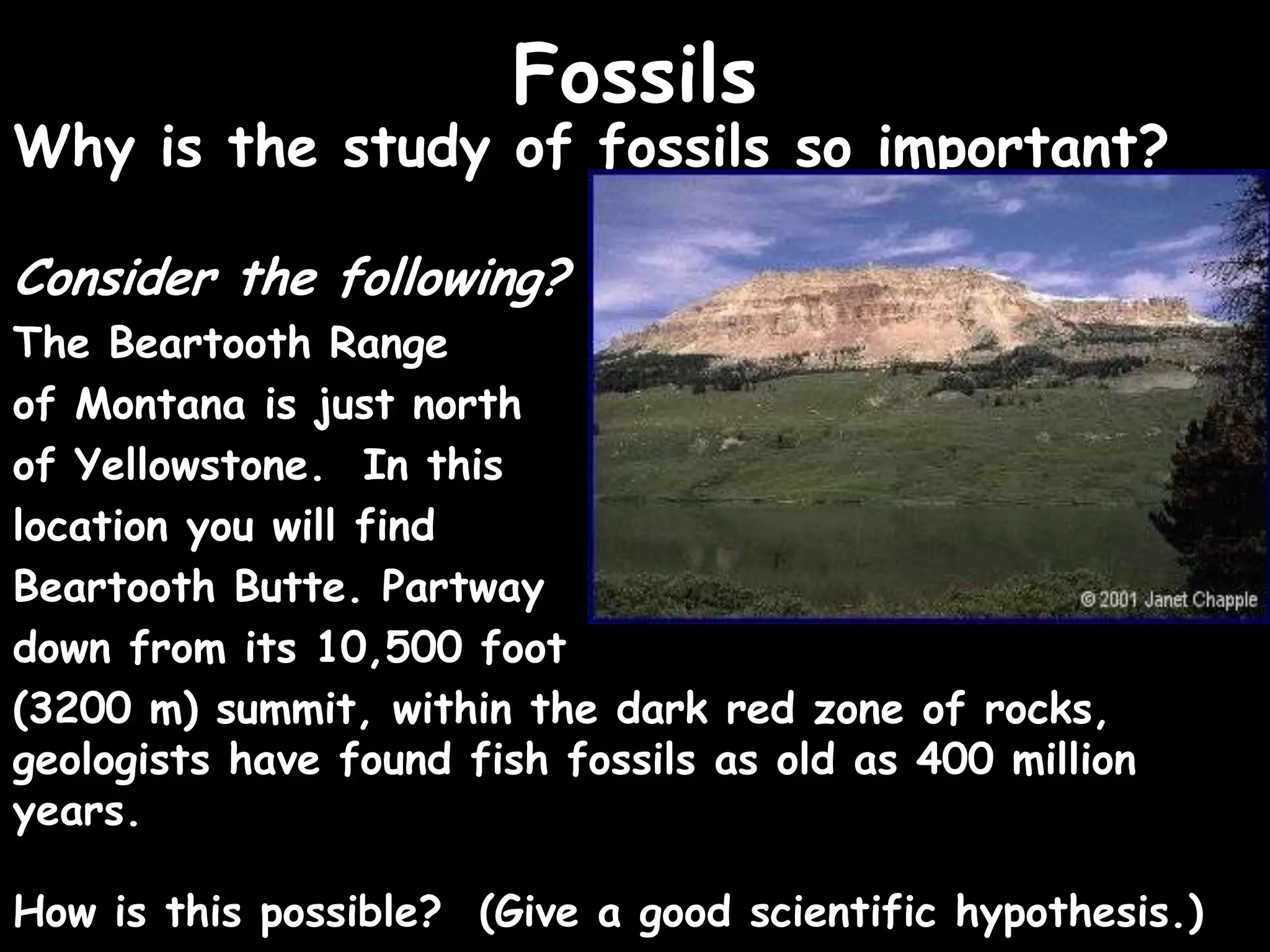 The rock and fossil record | PPTX
