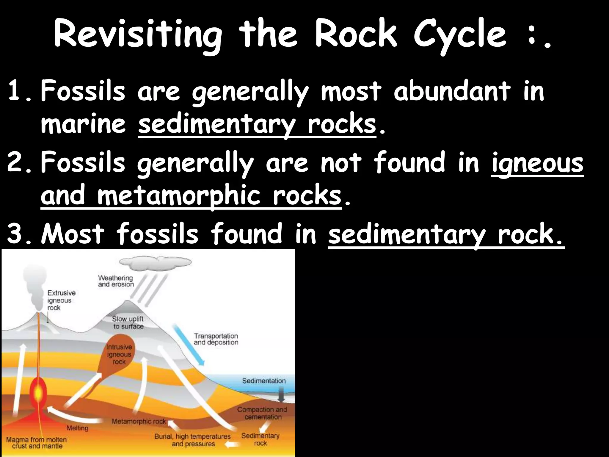 The rock and fossil record | PPTX