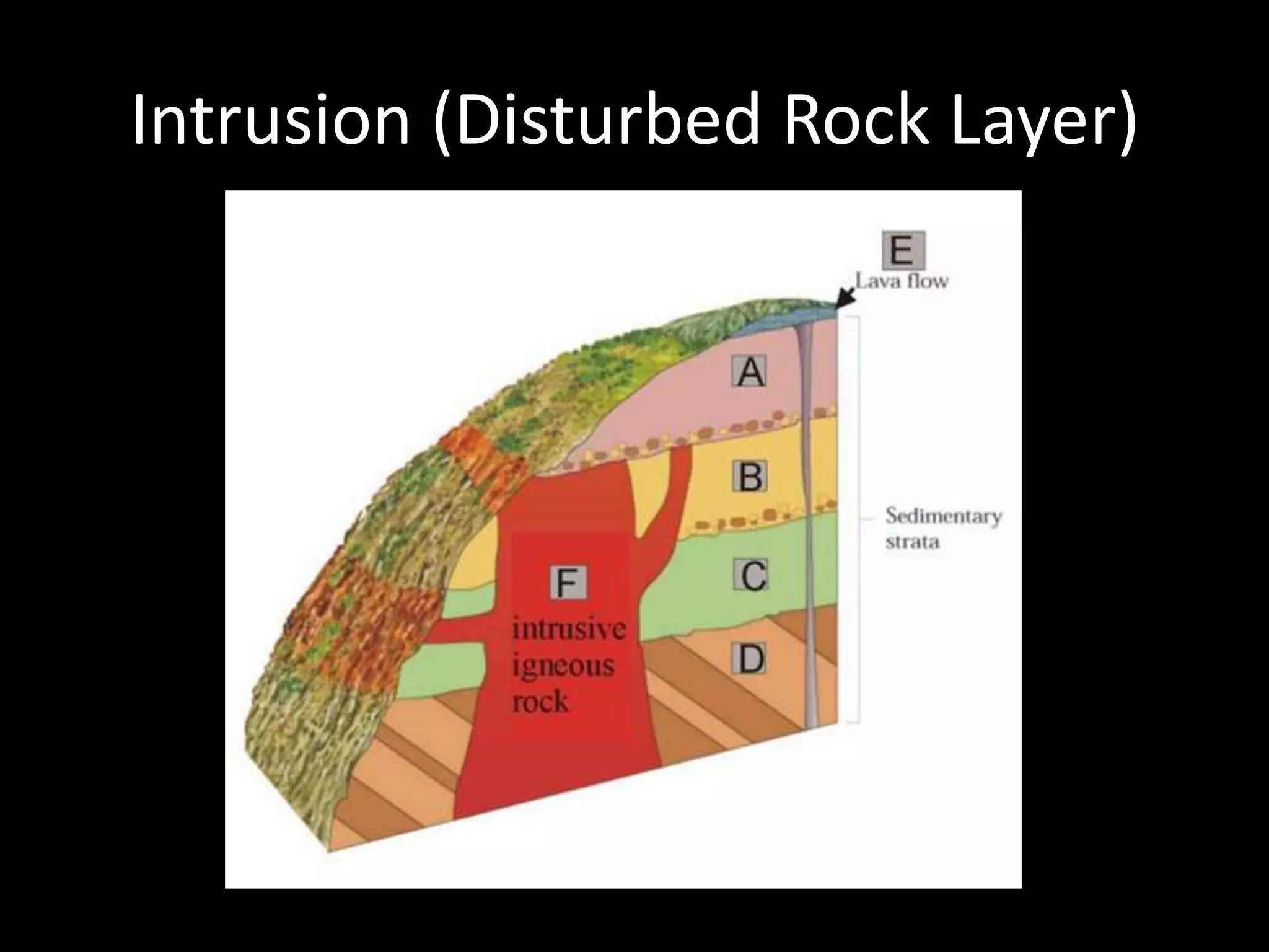 The rock and fossil record | PPTX