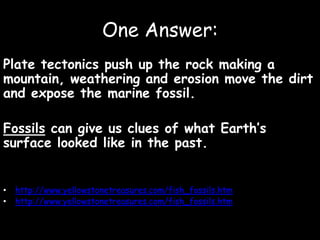 The rock and fossil record | PPTX