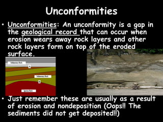 The rock and fossil record | PPT