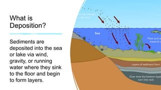 The Rock Cycle.pptx