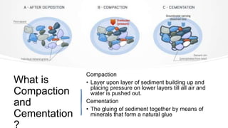 The Rock Cycle.pptx