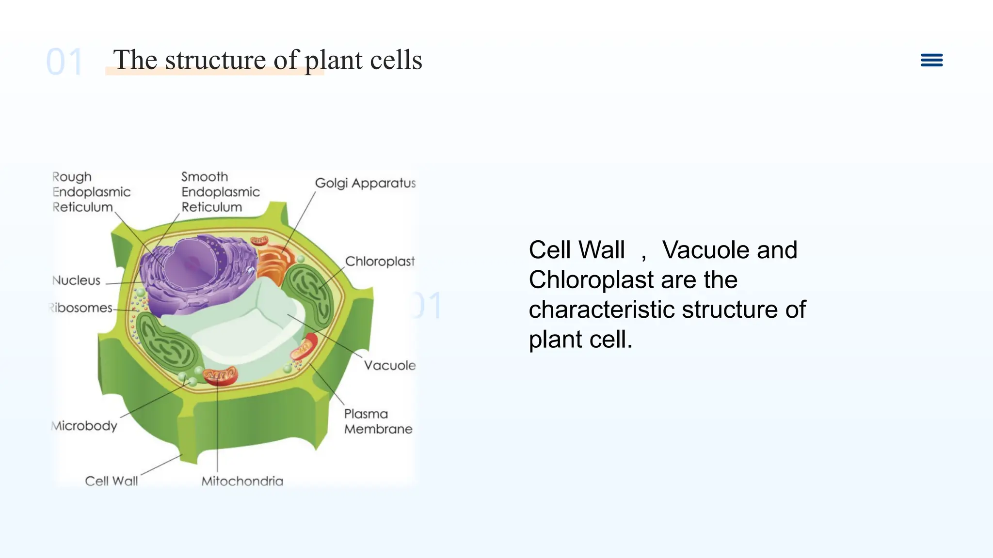 The Role and Application Fields of Plant Cell Engineering Technology.pptx