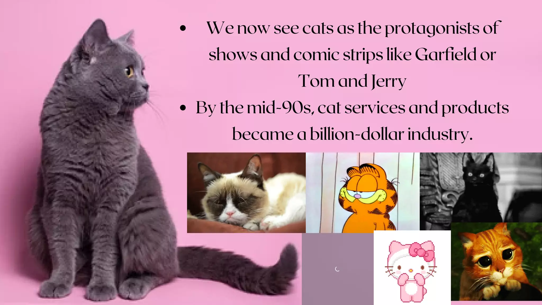 The Role Cats Played in History | PPT