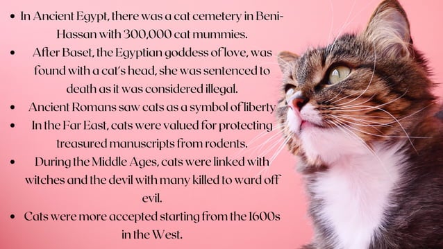 The Role Cats Played in History | PPT