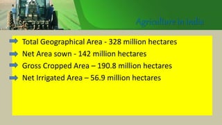 The role of agriculture in economic development.pptx