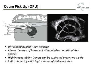 The role of assisted reproductive techniques (art’s) in building a ...
