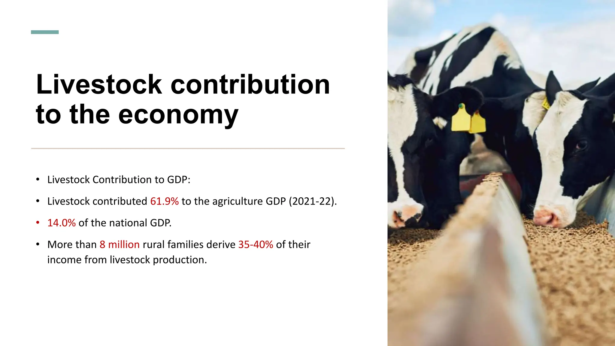 THE ROLE OF BIOTECHNOLOGY IN THE ECONOMIC UPLIFT.pptx