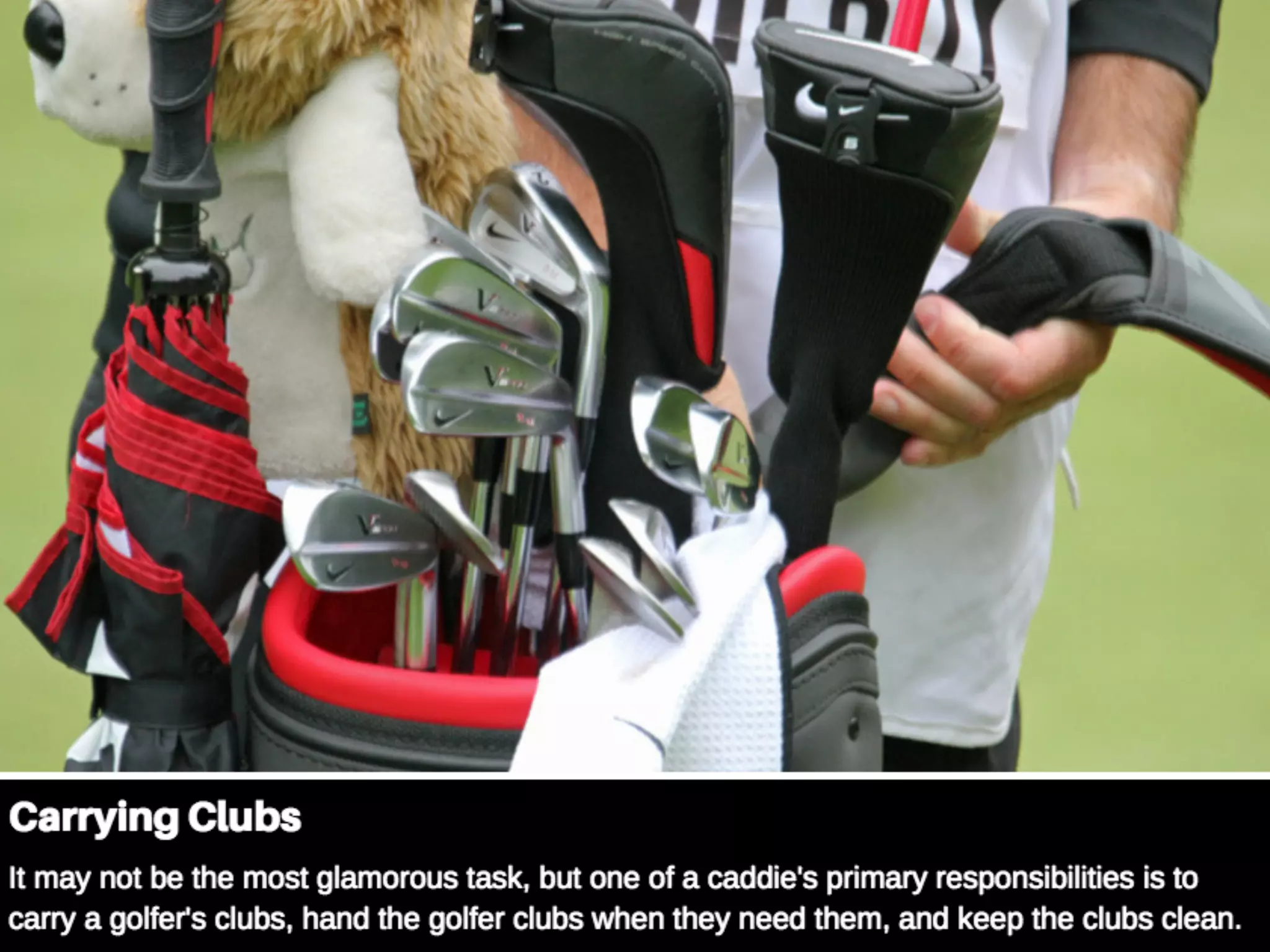 The Role Of Caddies In Golf Pdf