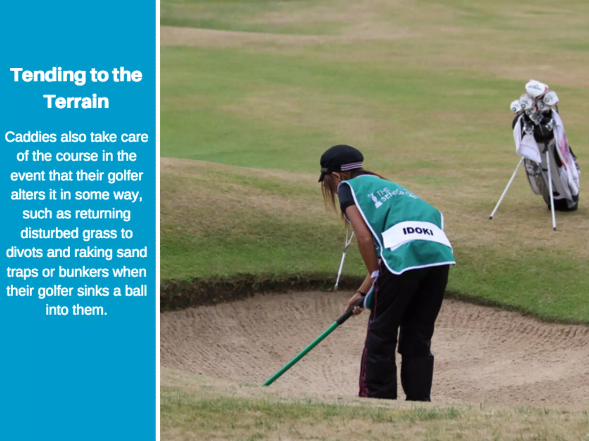 The Role of Caddies in Golf | PDF