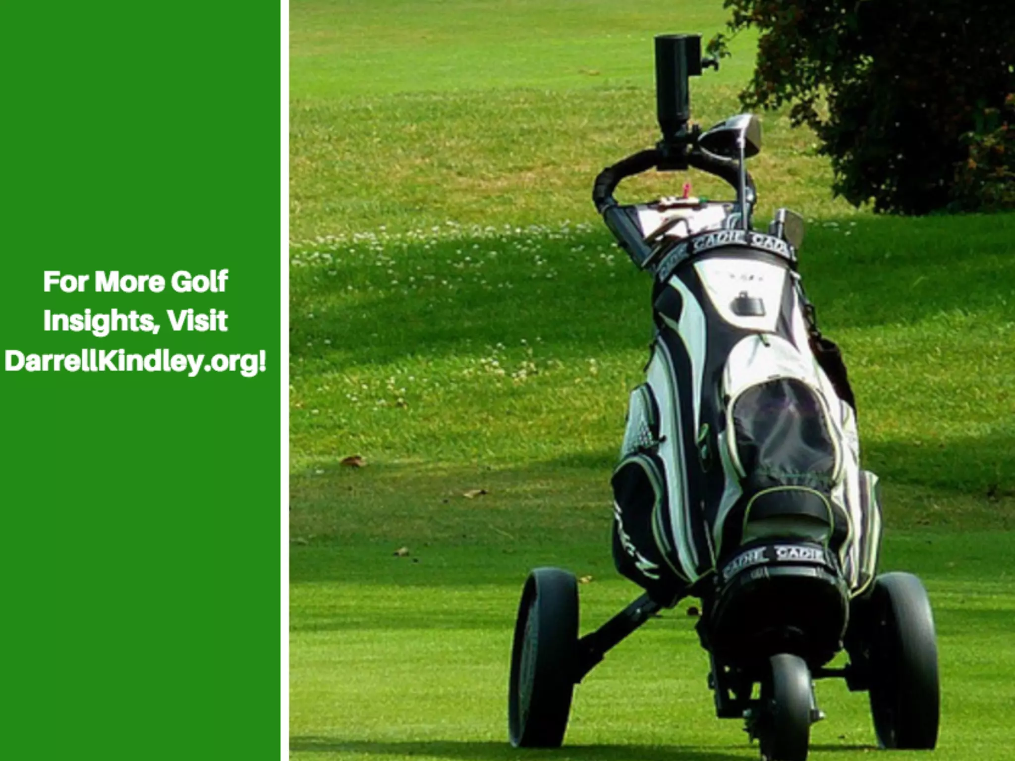 The Role of Caddies in Golf | PDF