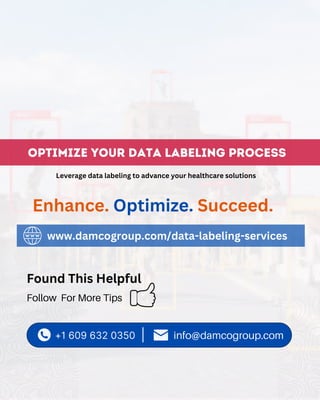 The Role of Data Labeling in Medical Imaging and Diagnosis | PDF
