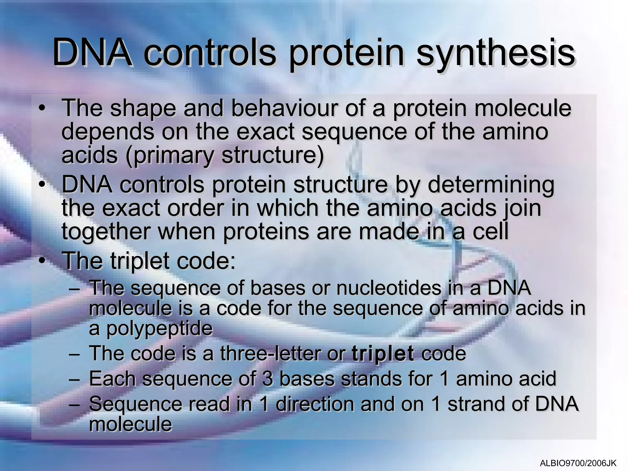 02 The Role of DNA in Protein Synthesis | PPT