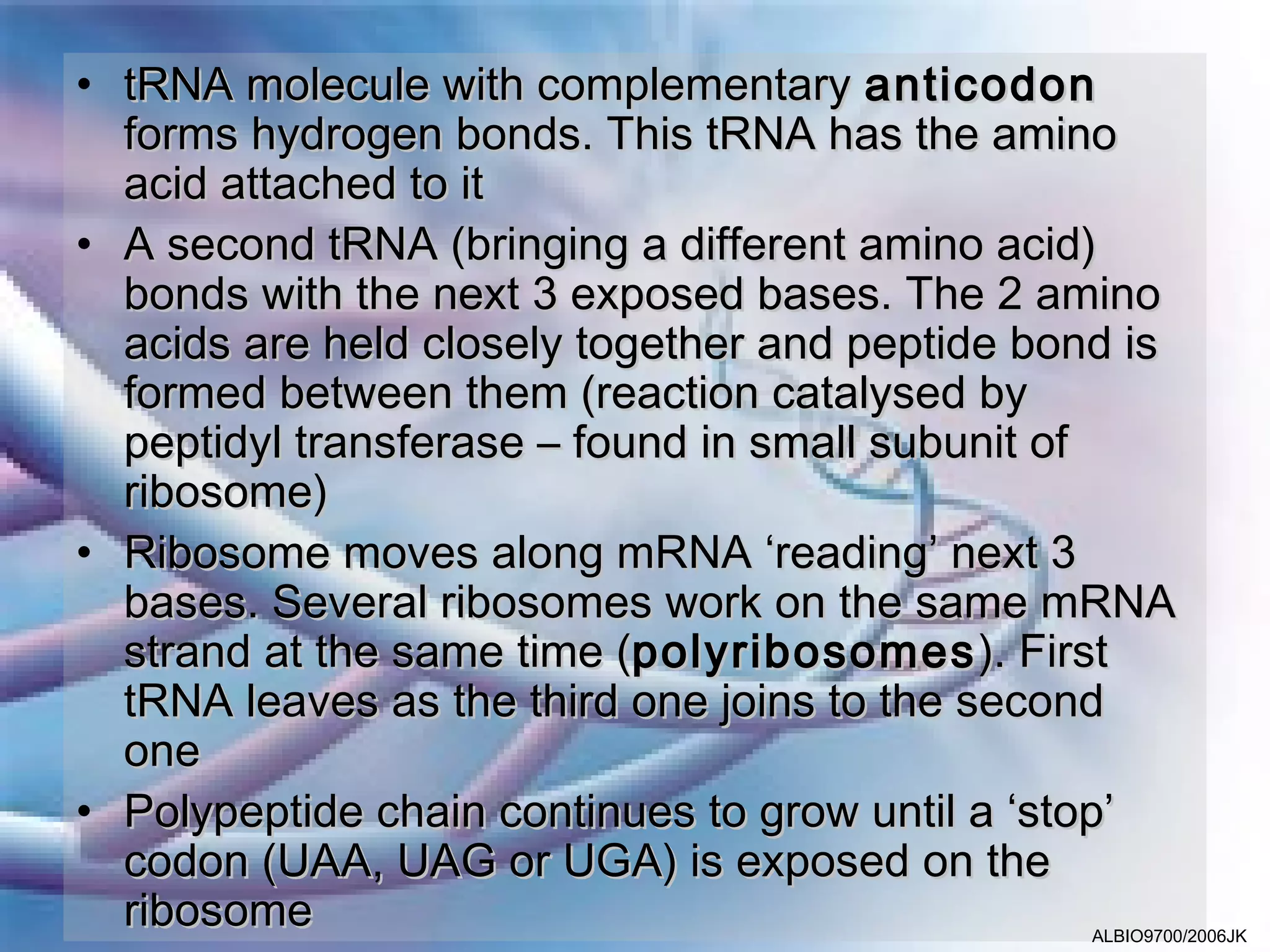 02 The Role of DNA in Protein Synthesis | PPT