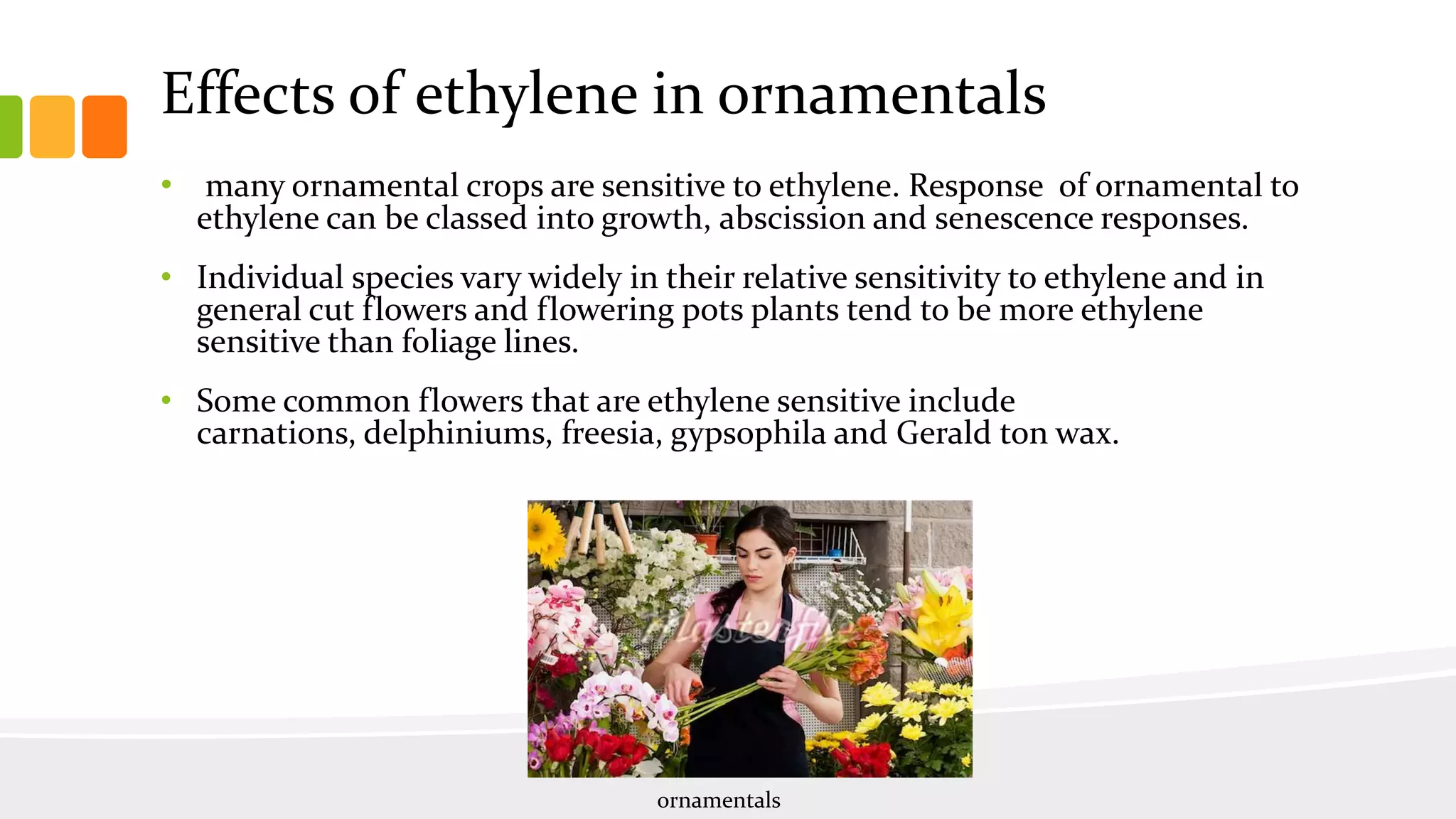 The role of ethylene in post harvest biology | PPTX