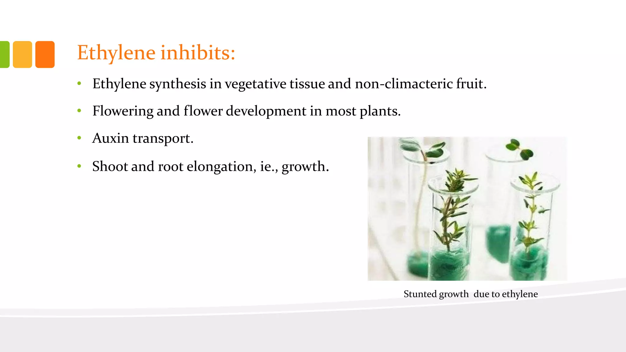 The role of ethylene in post harvest biology | PPTX