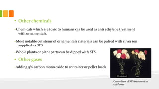 The role of ethylene in post harvest biology | PPTX