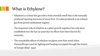 The role of ethylene in post harvest biology | PPTX