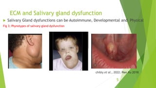 The role of extracellular matrix in the regeneration | PPT