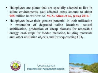 The role of gene bank to preservation halophytes | PPT