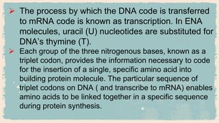 The Role of Genes in Heredity.pptx