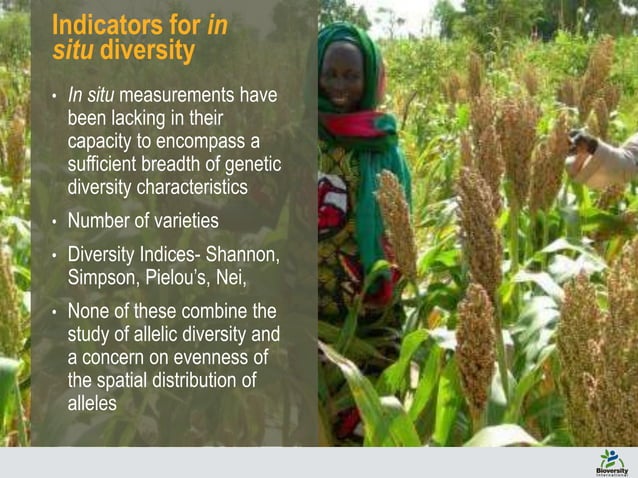 The role of genetic diversity for building resilience for food security ...