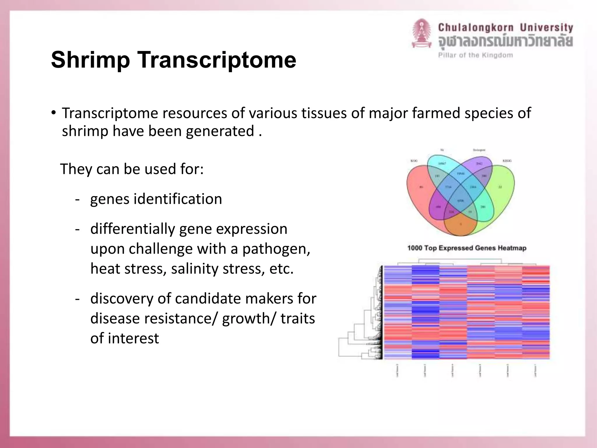 The role of genomics in shrimp improvement. a.tassanakajon | PPTX