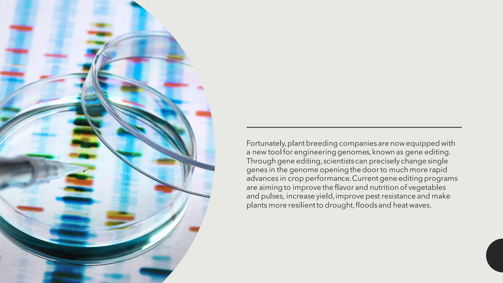 The Role of Genomics in Sustainable Agriculture | PDF