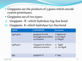 The role of gingipains in the pathogenesis of periodontal diseases | PPTX