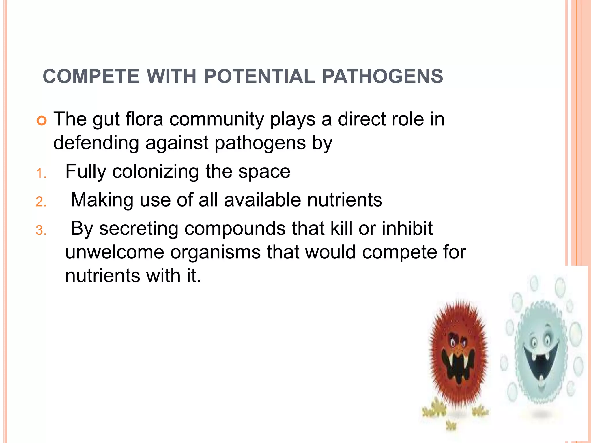 The role of good bacteria in our gut | PPTX