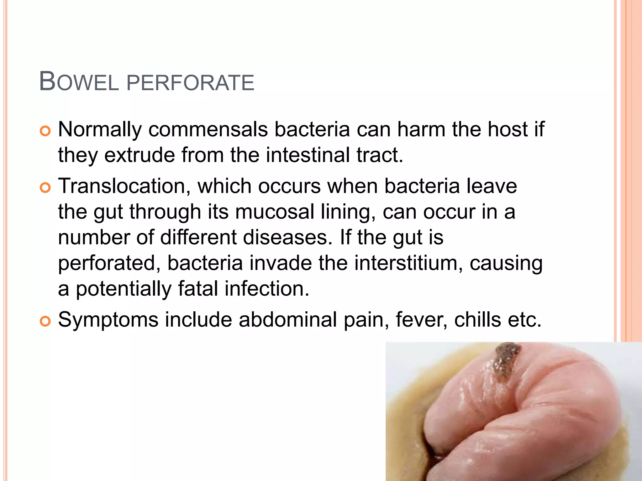 The role of good bacteria in our gut | PPTX